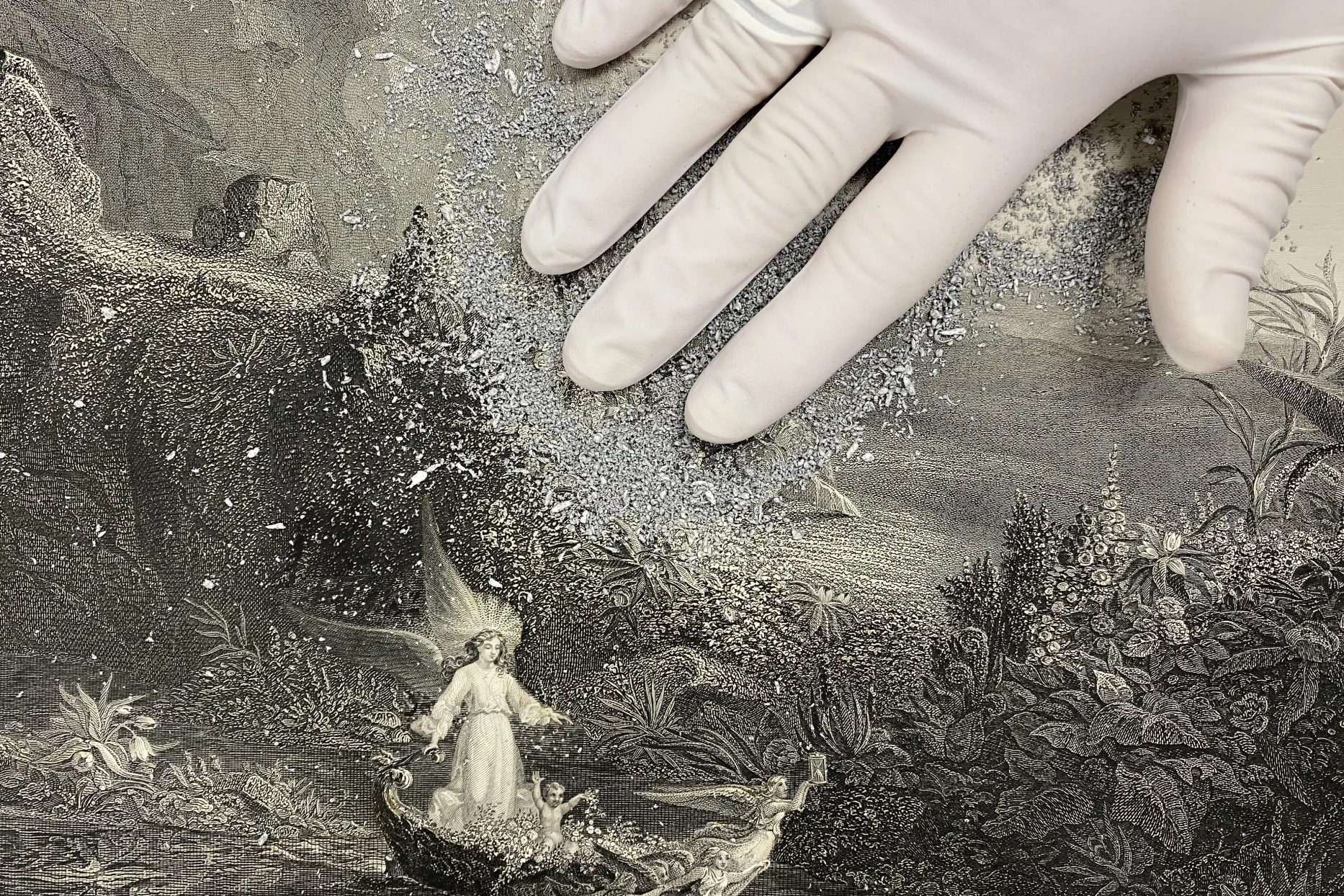 Conservation | George Eastman Museum