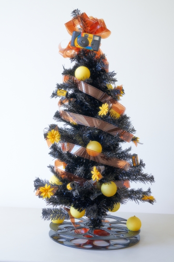Tabletop Tree Display & Online Auction | George Eastman Museum