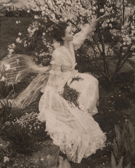 Edward Steichen and the Garden | George Eastman Museum