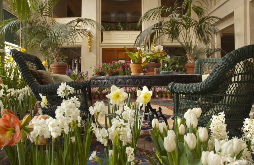 Dutch Connection 2024 | George Eastman Museum