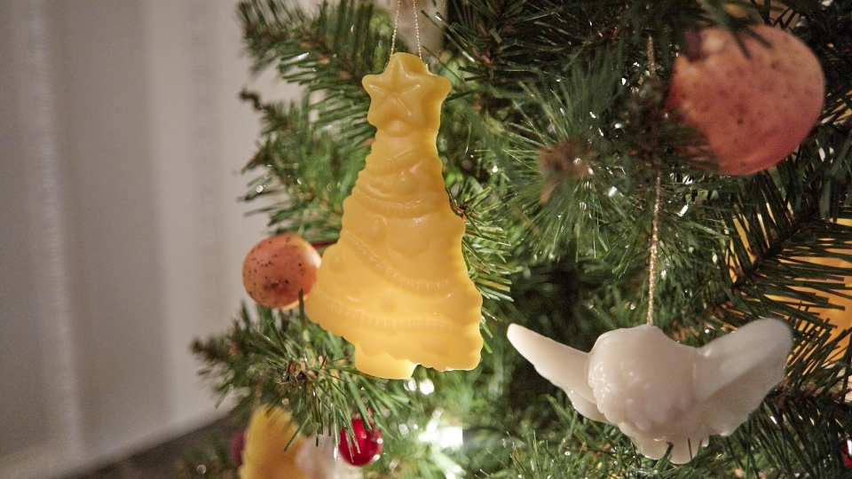 Tabletop Tree Display & Silent Auction | George Eastman Museum