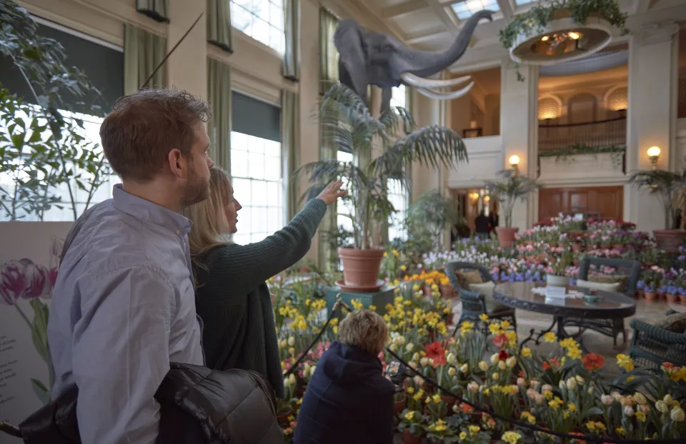 Dutch Connection | George Eastman Museum