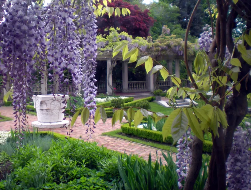 George Eastman's Birthday Celebration | George Eastman Museum