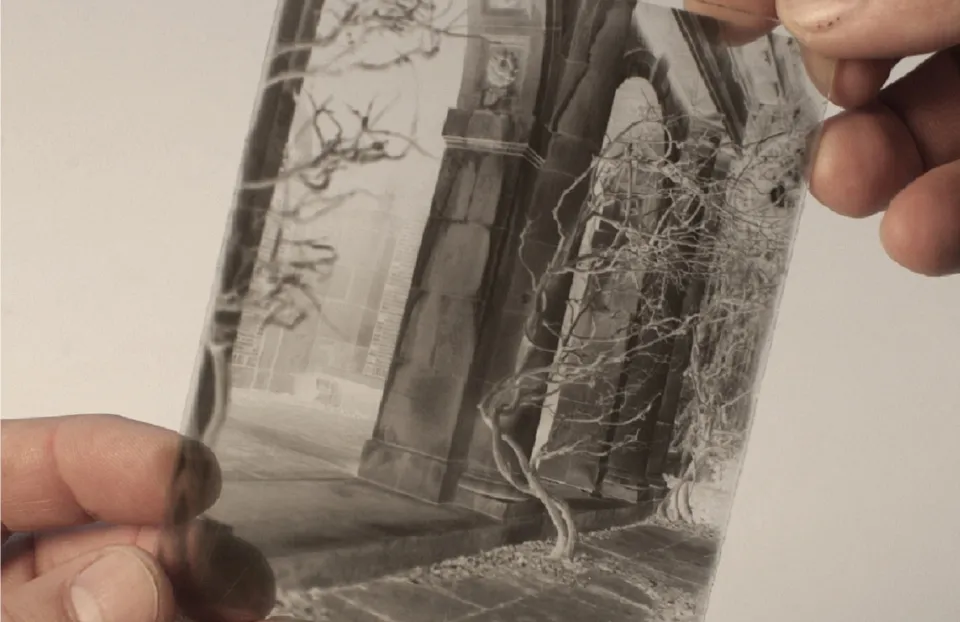 Gelatin Emulsion Dry Plate Negatives | George Eastman Museum