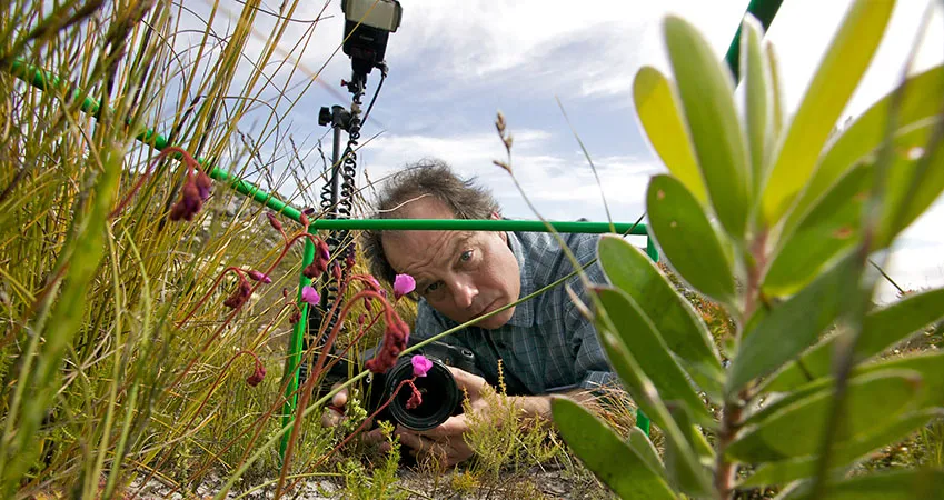 Photographer David Liittschwager | George Eastman Museum