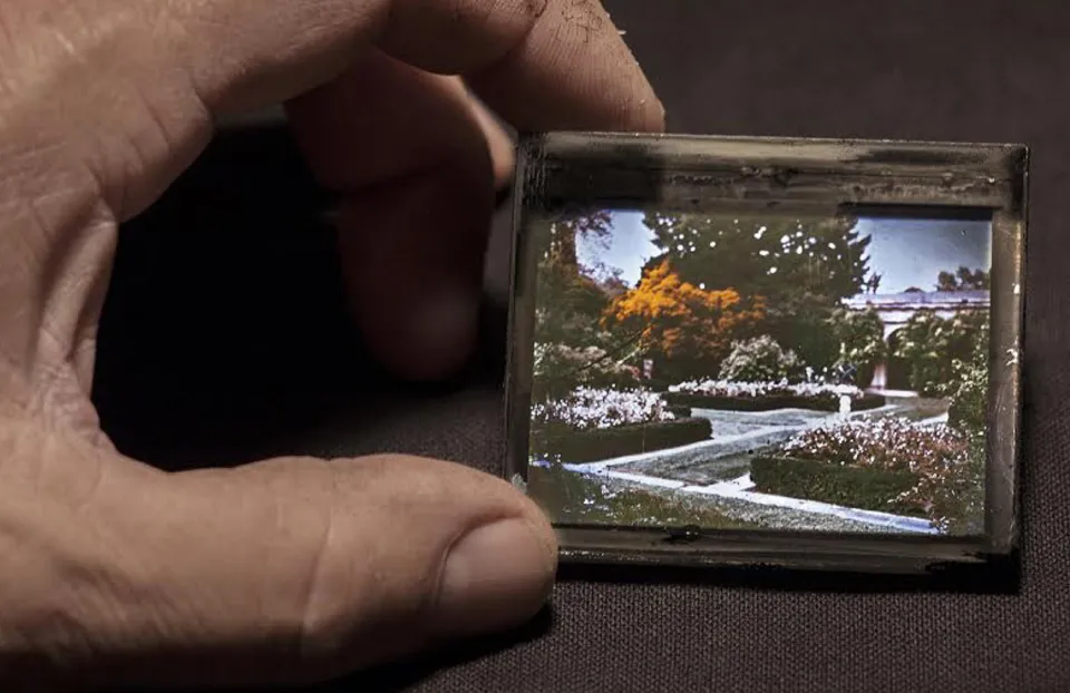 Lippmann Color Plates | George Eastman Museum