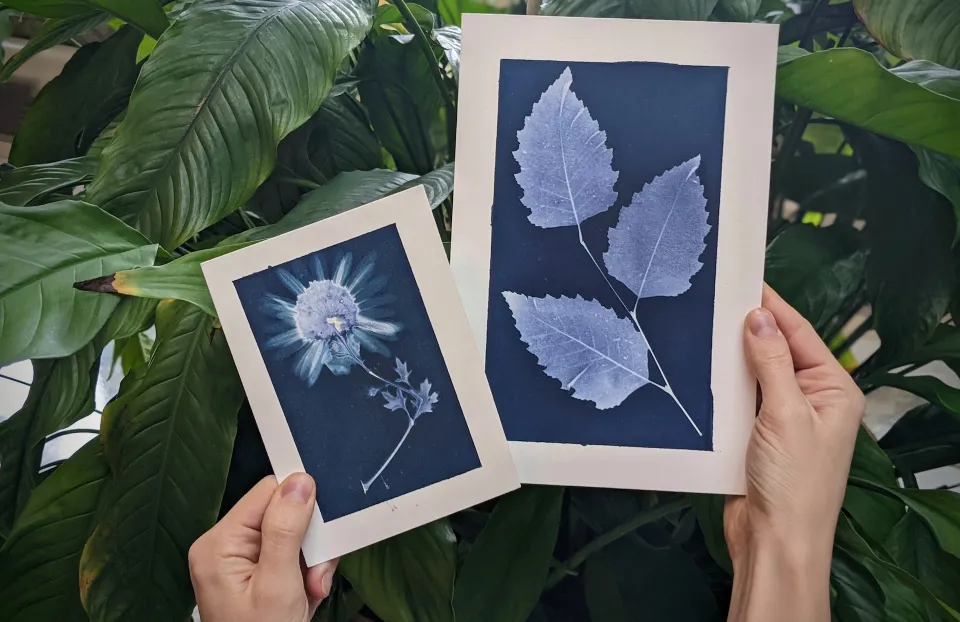 ONLINE—Dutch Connection & Floral Cyanotype Demonstration | George ...