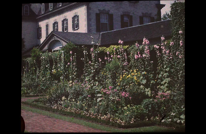 Members Only—Eastman’s Gardens: Now and Then [Sold Out] | George ...