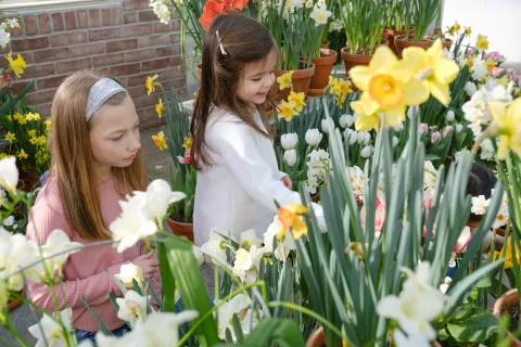 Dutch Connection Coffee Talk 2/19/23 | George Eastman Museum