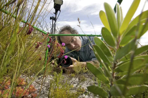 Photographer David Liittschwager | George Eastman Museum