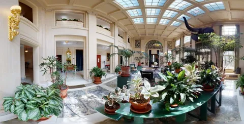 From the Potting Shed: Indoor Plant Advice from Landscape Manager Dan ...