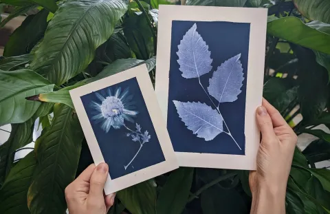 ONLINE—Dutch Connection & Floral Cyanotype Demonstration | George ...