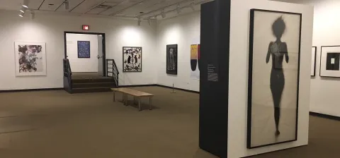 The Neüsuss Photograms: Discovery | George Eastman Museum