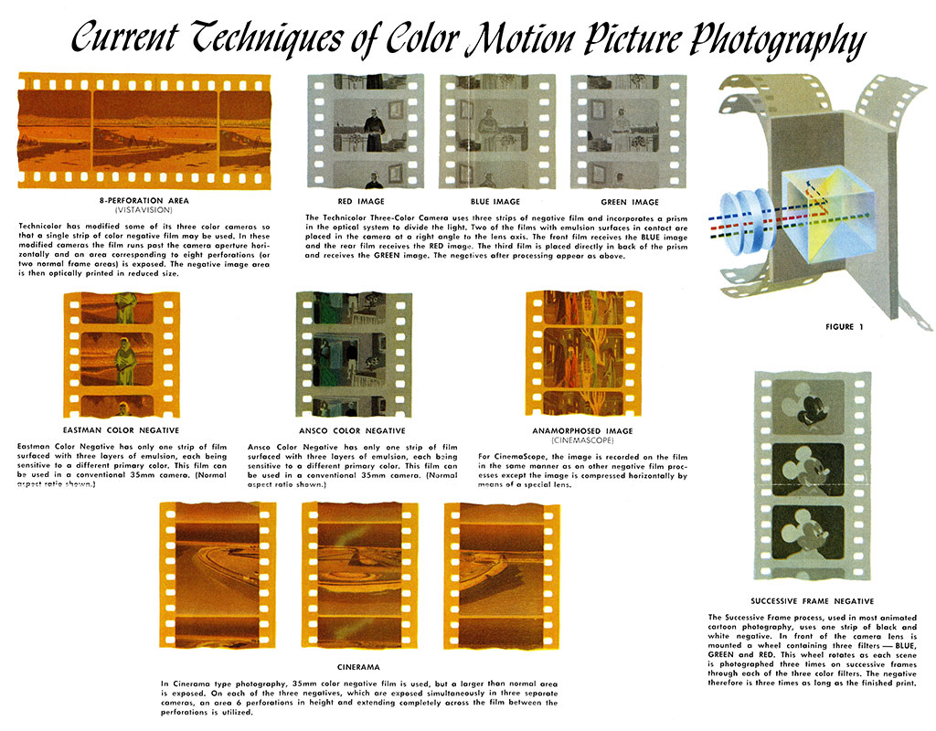 1955-1975 | George Eastman Museum